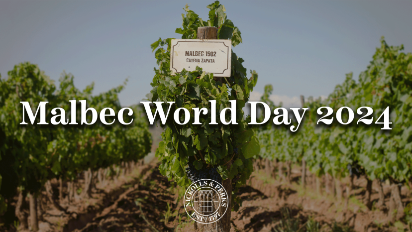 Malbec World Day 2024 – By Isobel Salter | Nickolls & Perks blog