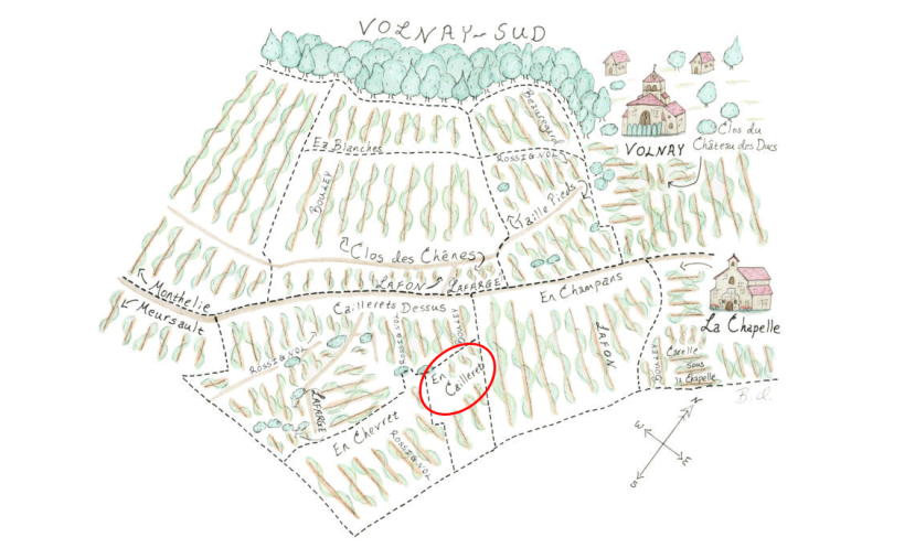 Nickolls & Perks blog