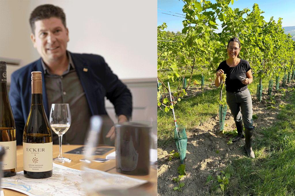 Nickolls & Perks blog